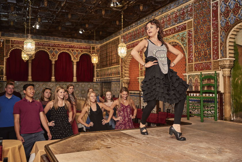 Flamenco Lesson and Show in Madrid - Encore Tours