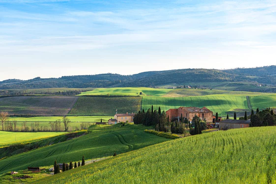Traditional Tuscan Farmhouse Lunch - Encore Tours